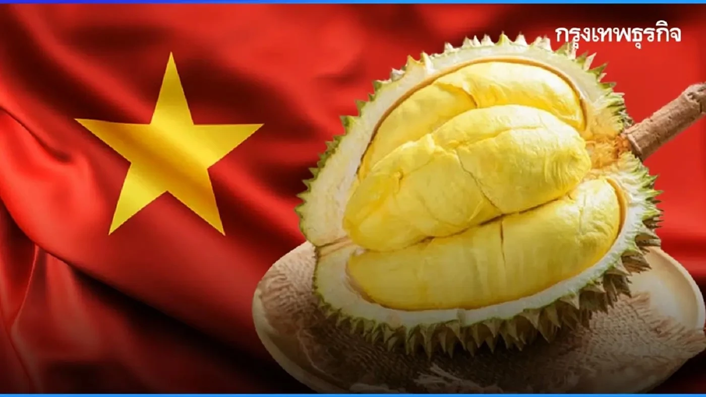 'เวียดนาม' ส่งออกทุเรียนพุ่ง 7 เดือน 6 หมื่นล้าน คาดทั้งปีทะลุเป้าแสนล้าน