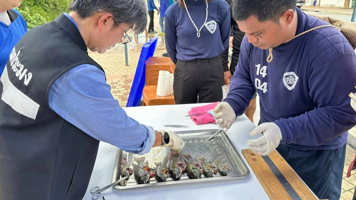 "CPF and Division of Fisheries Launch Initiative to Eradicate Black ...