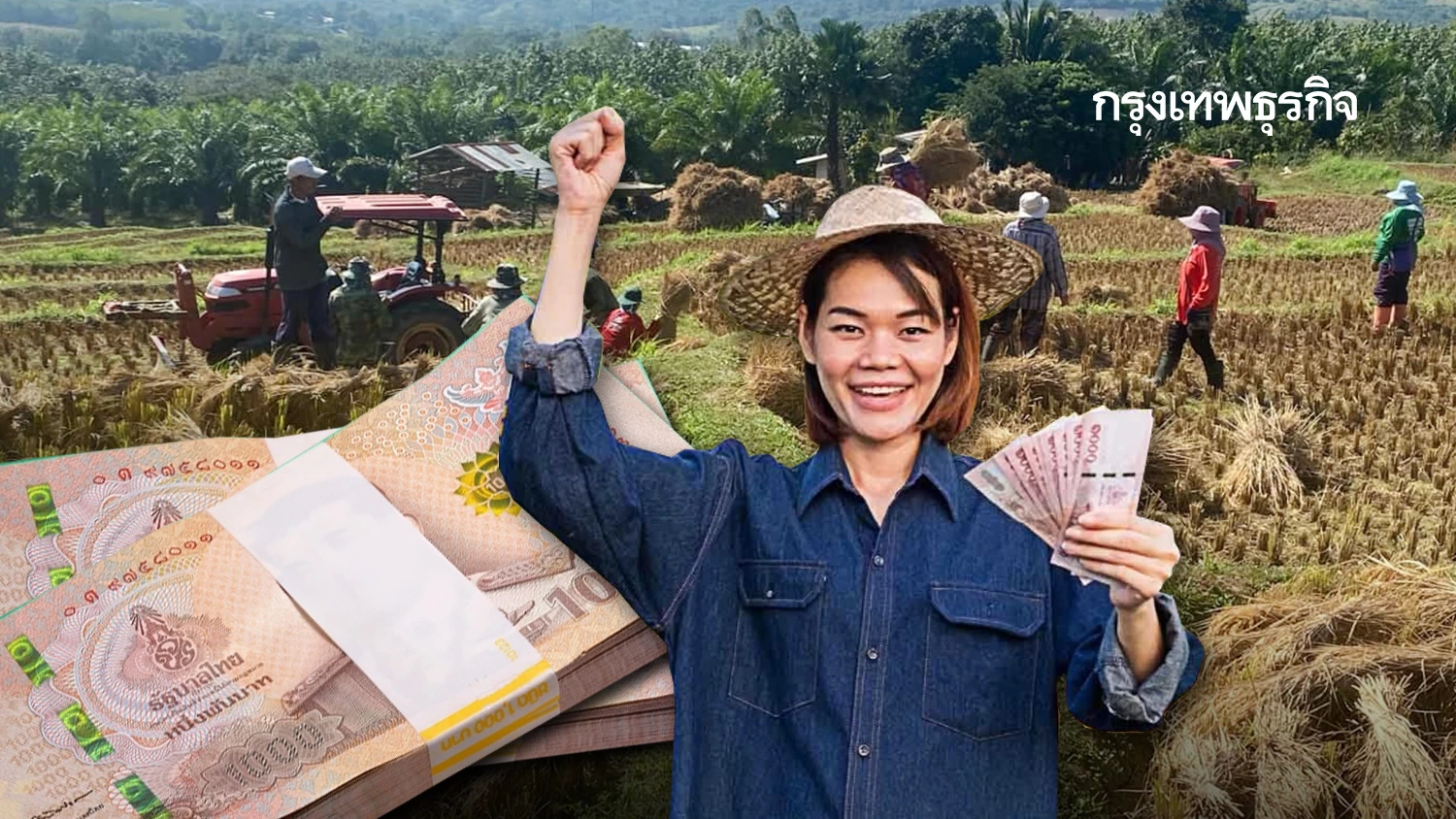 เงินไร่ละ 1000 ได้เงินวันไหน? เข้าระบบ efarmer.doae.go.th ดูทะเบียนเกษตรกร