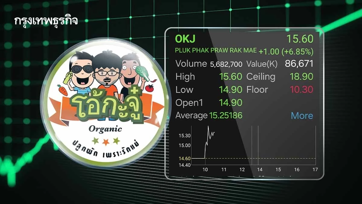 หุ้น OKJ บวกเช้านี้ 6.85% แรงหนุนช่วงพีคไฮซีซั่น-วันหยุดยาว คาดกำไรไตรมาส 4/67 โตแกร่ง