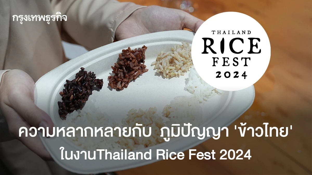 ความหลากหลายกับ ภูมิปัญญา“ข้าวไทย”ในงานThailand Rice Fest 2024