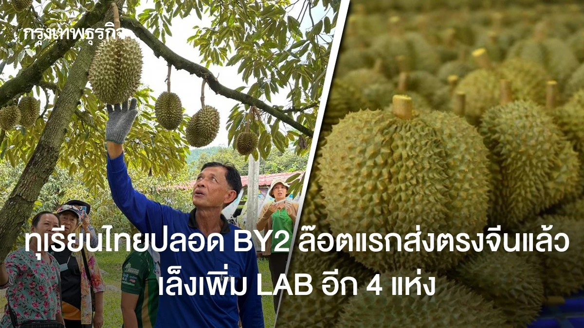 ทุเรียนไทยปลอดBY2 ล๊อตแรกส่งตรงจีนแล้ว เล็งเพิ่มLAB อีก4แห่ง