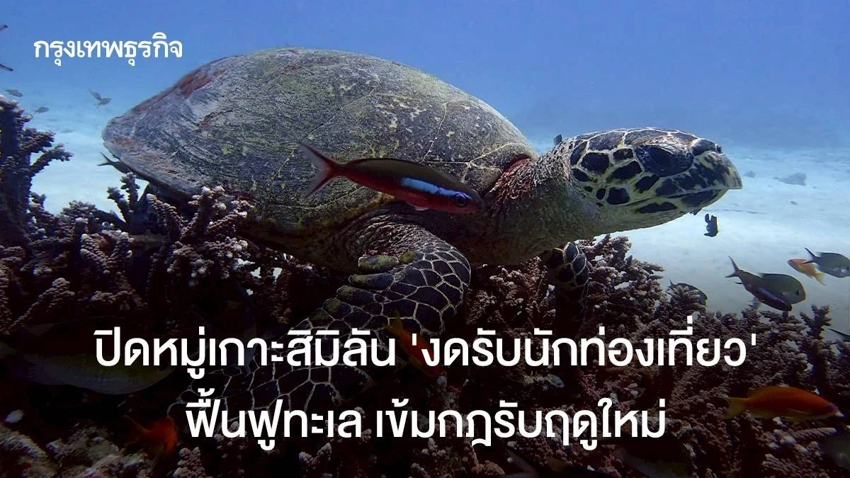 ปิดหมู่เกาะสิมิลัน 'งดรับนักท่องเที่ยว' ฟื้นฟูทะเล-เข้มกฎรับฤดูใหม่