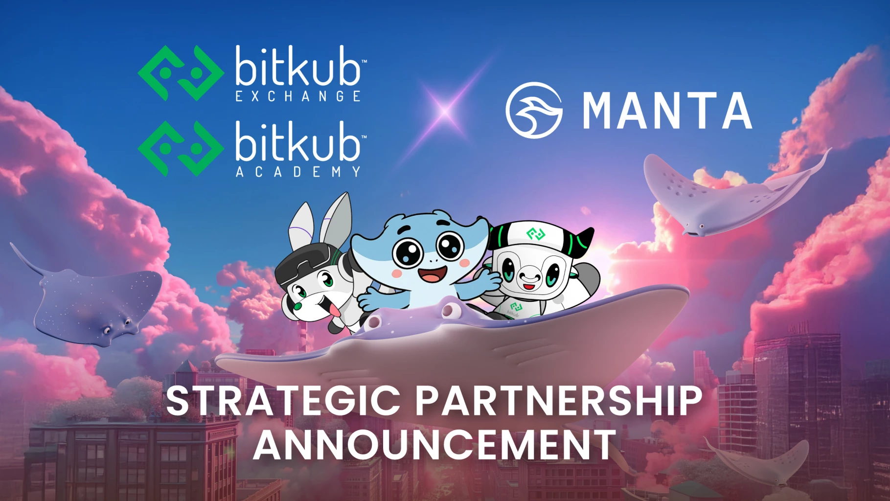 Bitkub Exchange และ Bitkub Academy ประกาศความร่วมมือกับ Manta Network