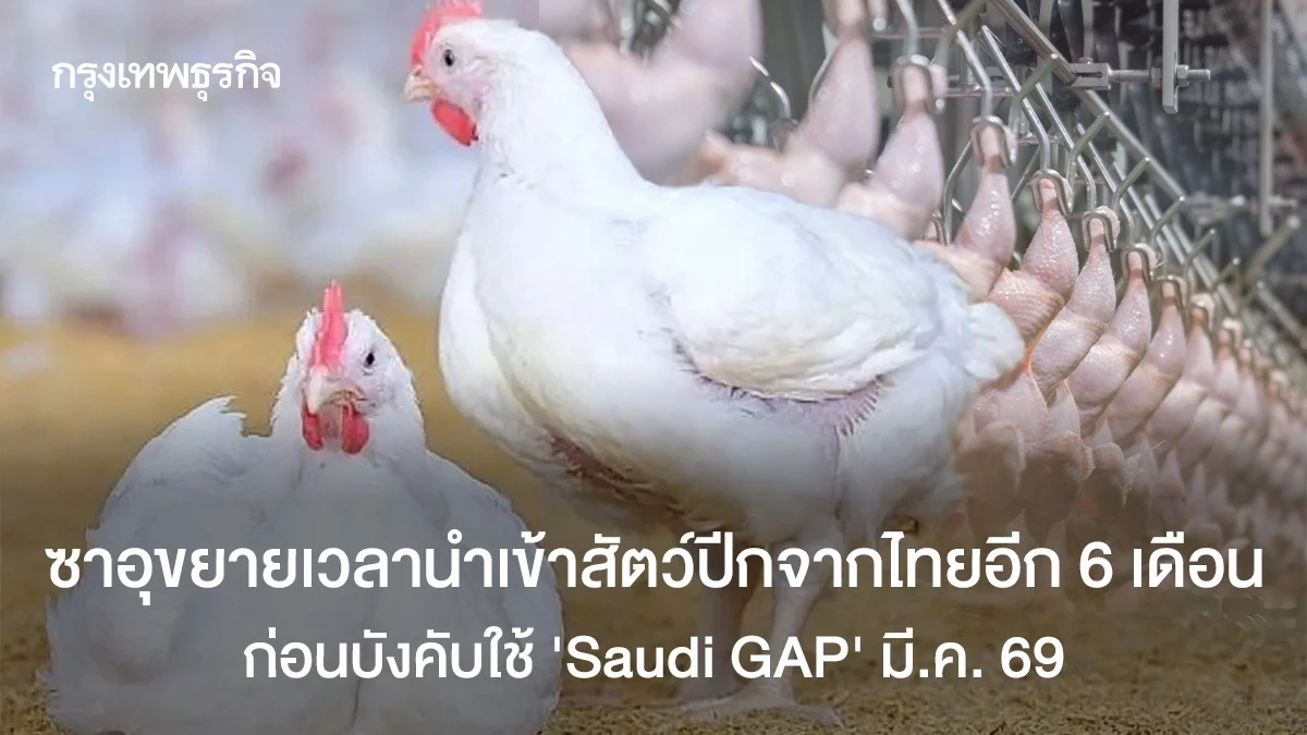 ซาอุฯขยายเวลานำเข้าสัตว์ปีกจากไทยอีก 6 เดือน ก่อนบังคับใช้ “Saudi GAP ...