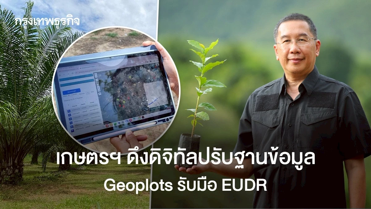 กรมส่งเสริมการเกษตร ดึงดิจิทัลปรับฐานข้อมูล Geoplots รับมือ EUDR