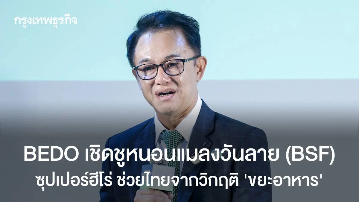 BEDO เชิดชูหนอนแมลงวันลาย (BSF) ซุปเปอร์ฮีโร่ ช่วยไทยจากวิกฤติ ‘ขยะอาหาร’